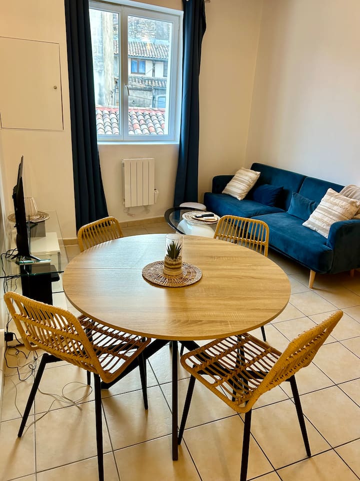 2/3voyageurs-wifi-netflix-chambre Climatisée - Nimes