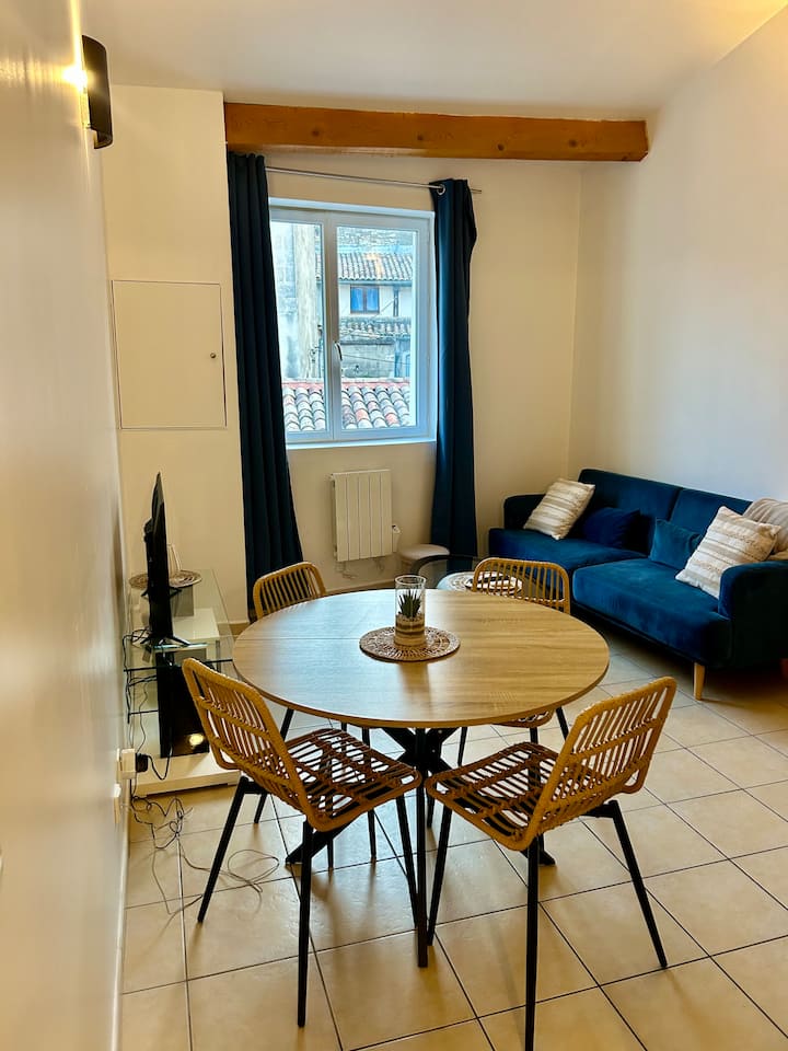 2/3voyageurs-wifi-netflix-chambre Climatisée - Nîmes