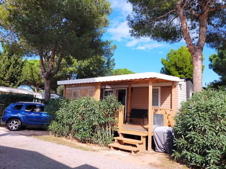 La Massane, Mobilhome En Bord De Mer - Argelès-sur-Mer