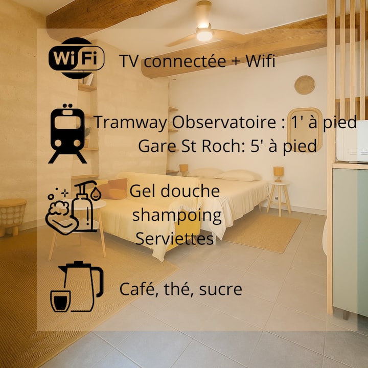 Studio Centre Montpellier - Montpellier