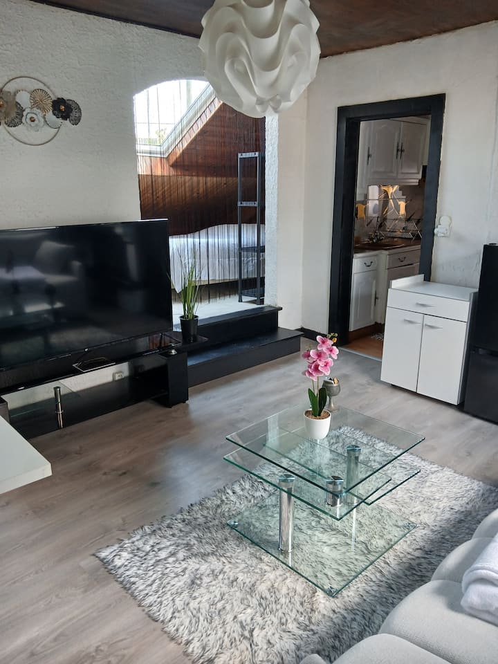 Joli Appartement - Saint-Dié-des-Vosges