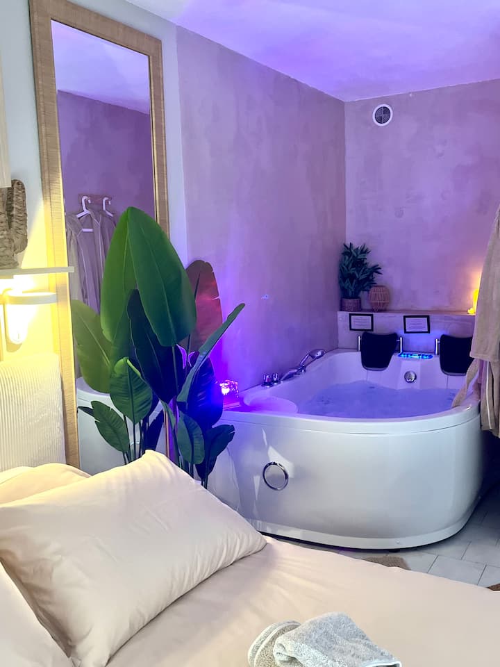 Studio Spa Balnéo, Proche Centre De Nîmes - Nîmes