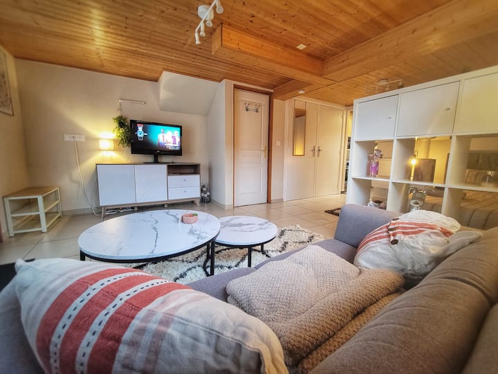 Studio Cosy–calme & Parking (Proche Genève/annecy) - Bonneville