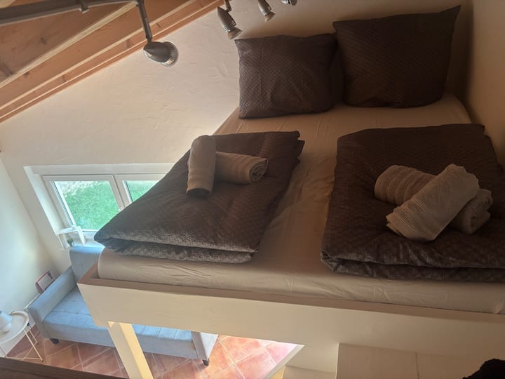 Apartment, Direkt Am Rhein - Wiesbaden