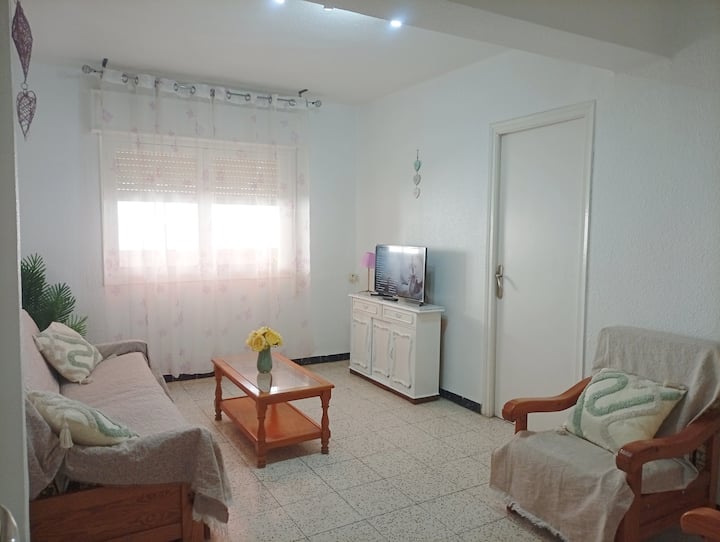 Palmeras Y Calma - Elche