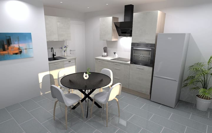 Appart T5 Entièrement Rénové - Toulouse