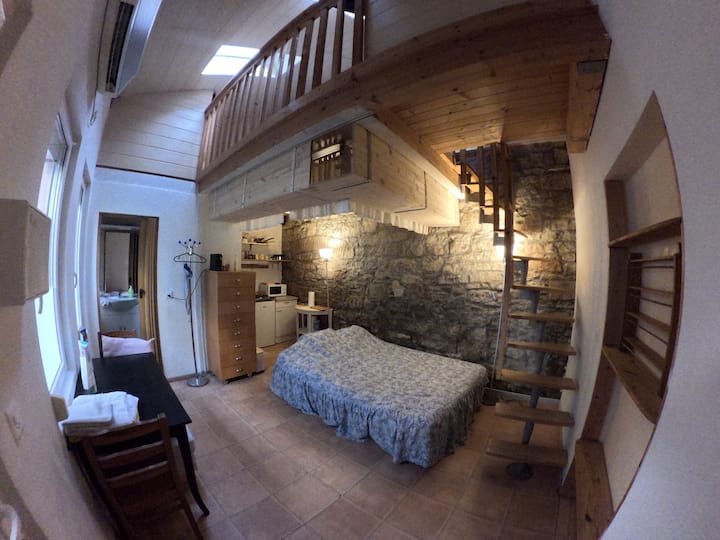 Zentrale Wohnung - Basel