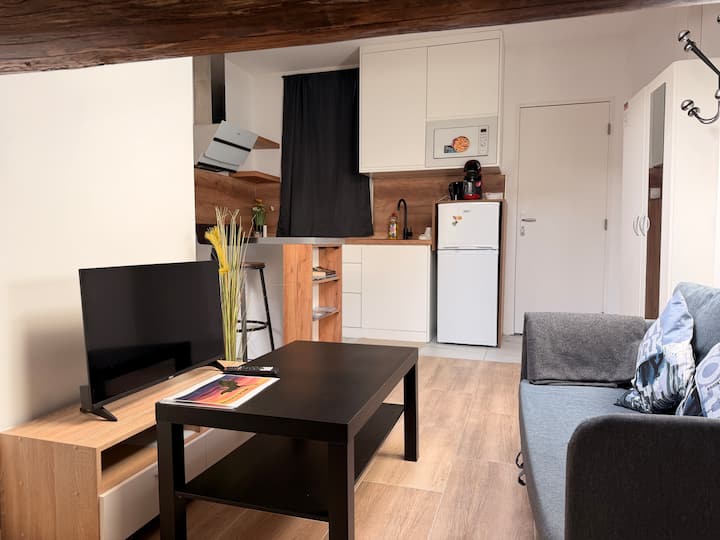 Le Graoully 1 Appartement Cosy En Centre-ville - Metz