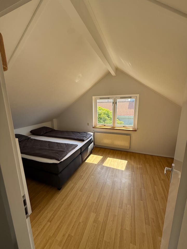 Oak 68 - Noordwijk aan Zee