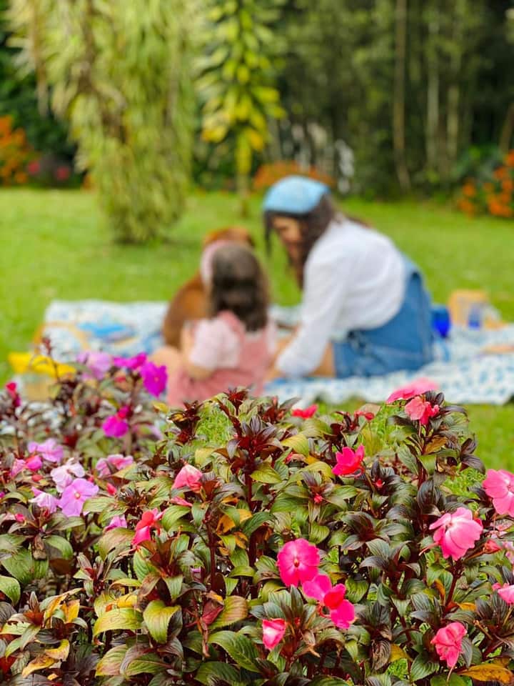 Cabañas Familiares En La Naturaleza | Napo | Borja - El Chaco