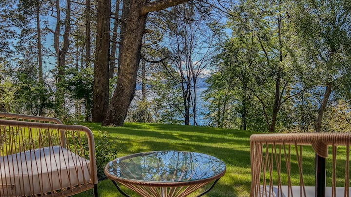 Vista Soñada Al Nahuel Huapi - Argentina