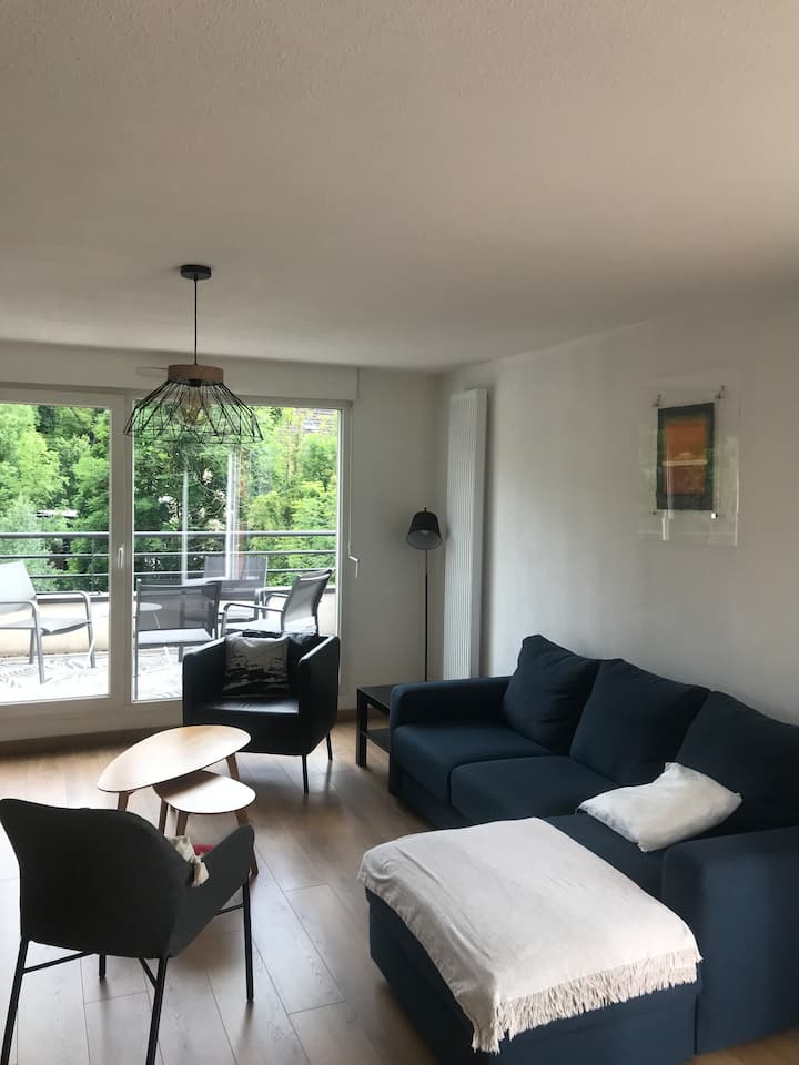 Bel Appartement Lumineux Annecy - Annecy
