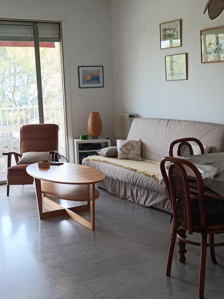 Entre Nice Et Cannes, Grand T3, Vue Mer, Parking. - カーニュ＝シュル＝メール