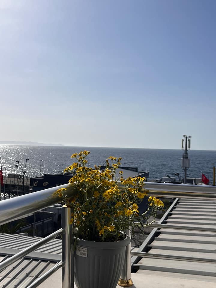 (5) Avşa Adası Deniz Manzaralı Ve Merkezi - Avşa Adası