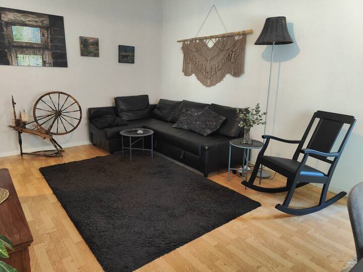 Viihtyisä Kaksio Keskustassa - Tampere