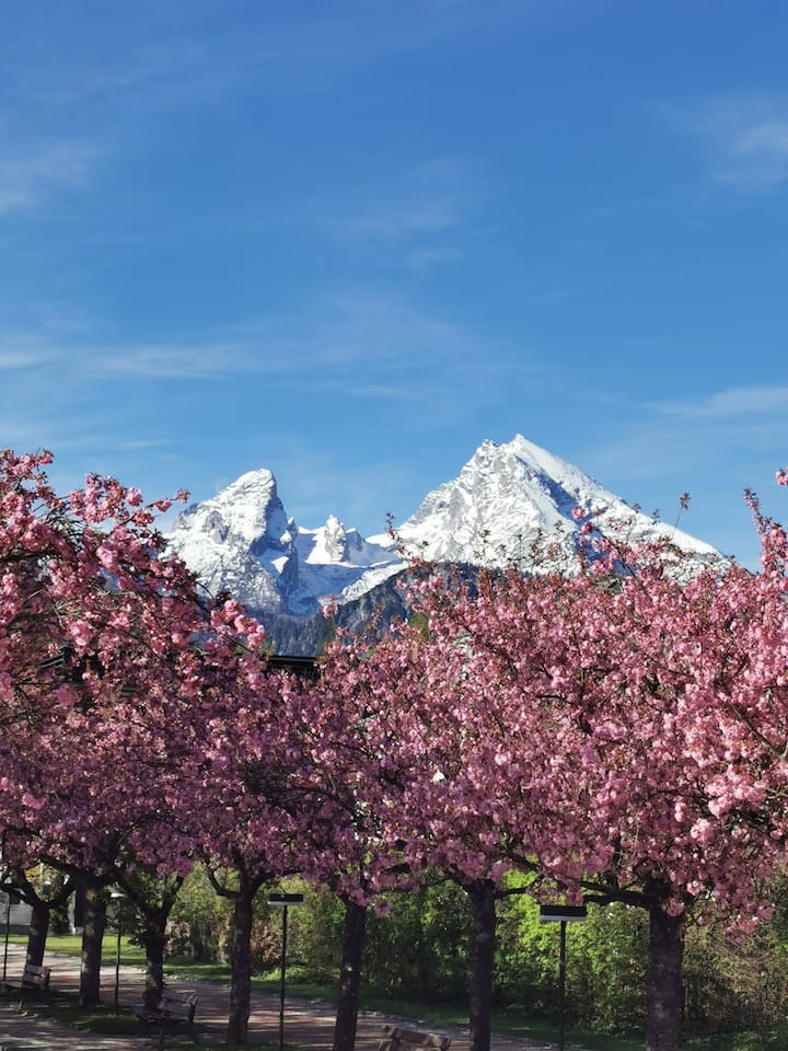 Bergliab - Obersalzberg