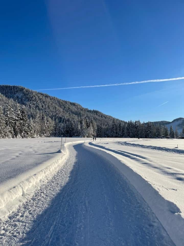 Ferienwohnung Karwendel (Mit Eigenem Garten) - Mittenwald
