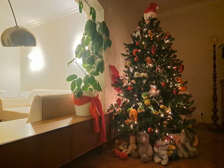 Noël Ensemble•2 Maisons Familiales, Vue Magnifique - Aups