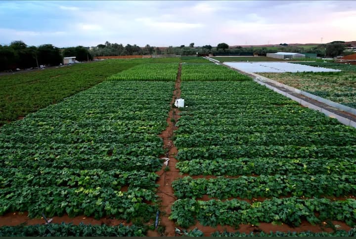 Book Full Farm In Rak – Great For Families & Kids - Ras Al-Khaimah