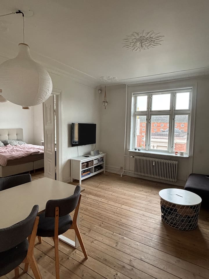 Cozy Flat Frederiksberg - Kopenhag