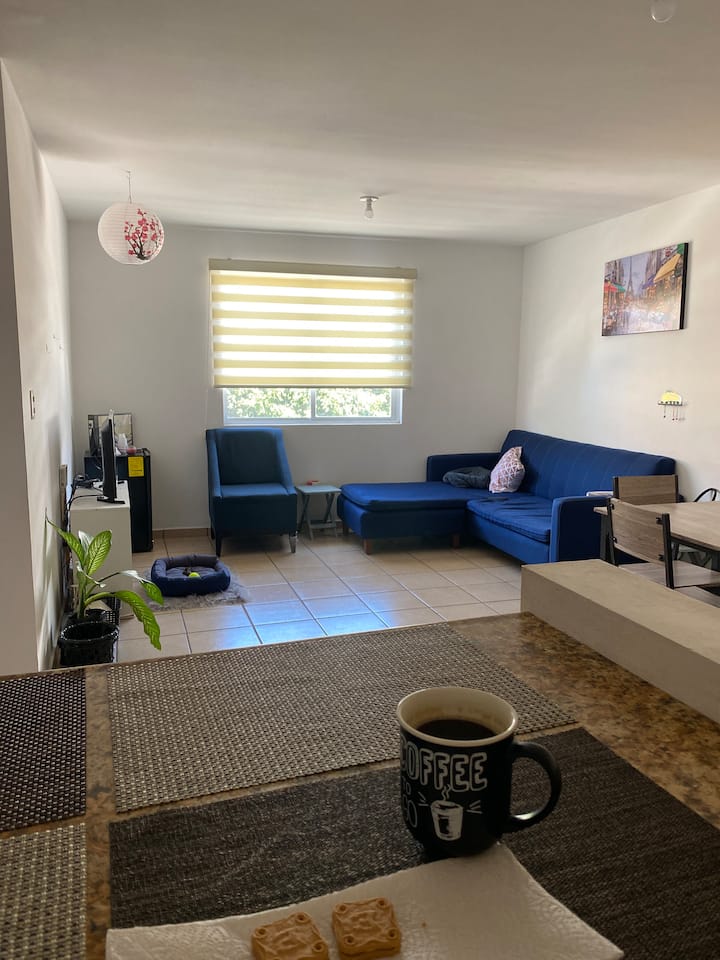 Large Apartment In Downtown - San Luis Potosí