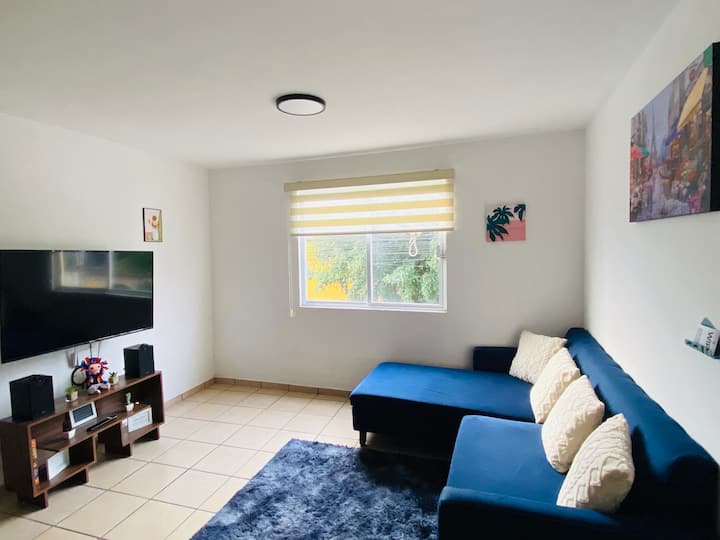 Large Apartment In Downtown - San Luis Potosí