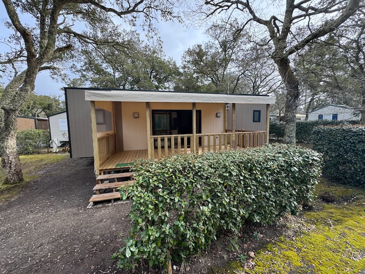 Bungalow Camping Avec Piscine - Seignosse