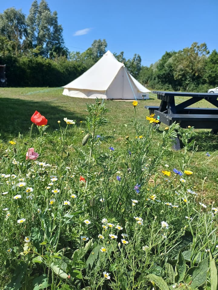 Whitstable Potato Patch 5m Bell Tent - Whitstable