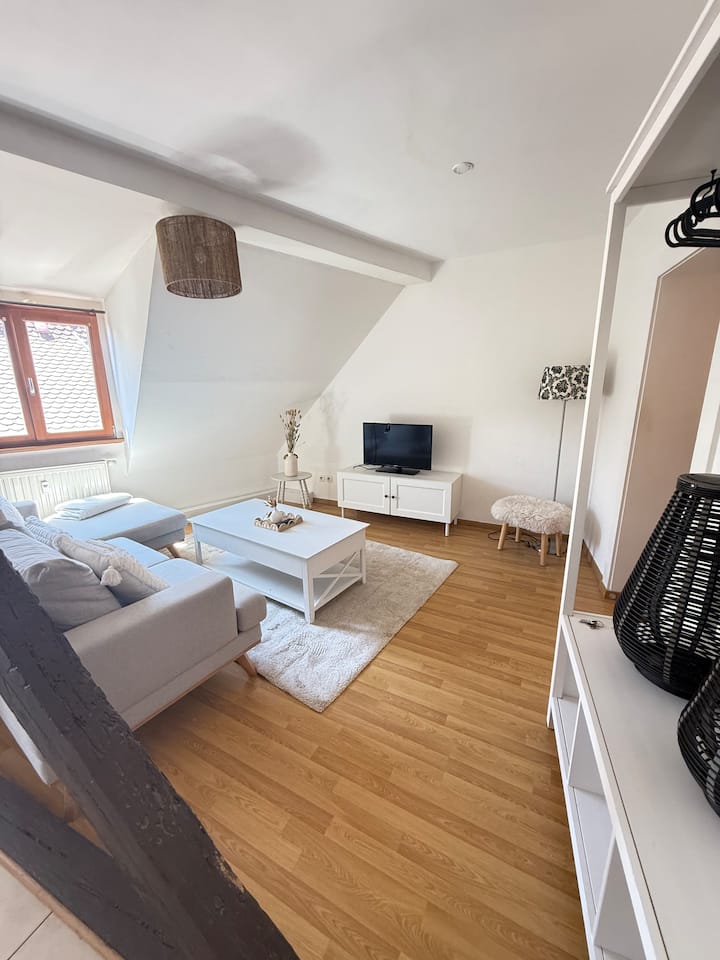 Le Cocon Obernois– Charme & Confort Cœur D’obernai - Obernai