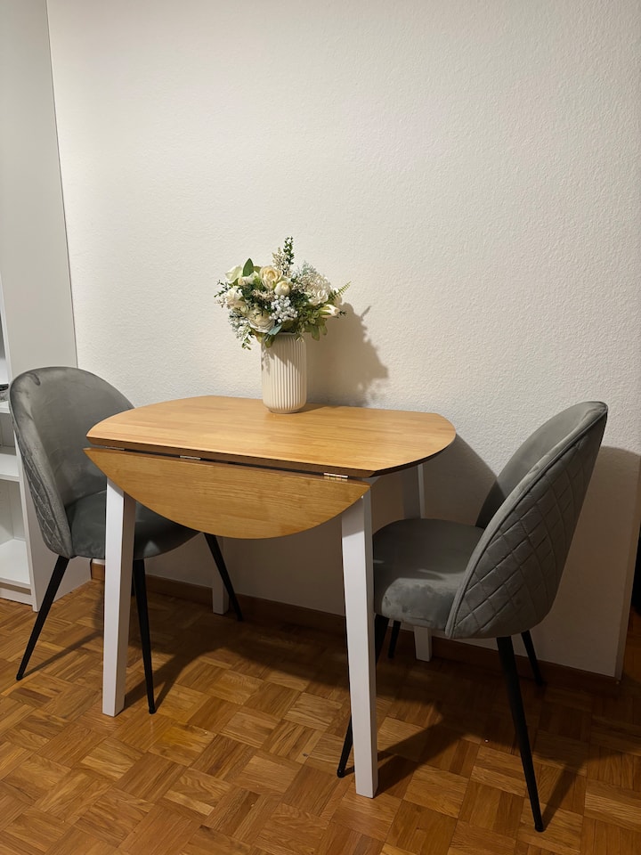 Cozy Apartment In Geneva - Geneva