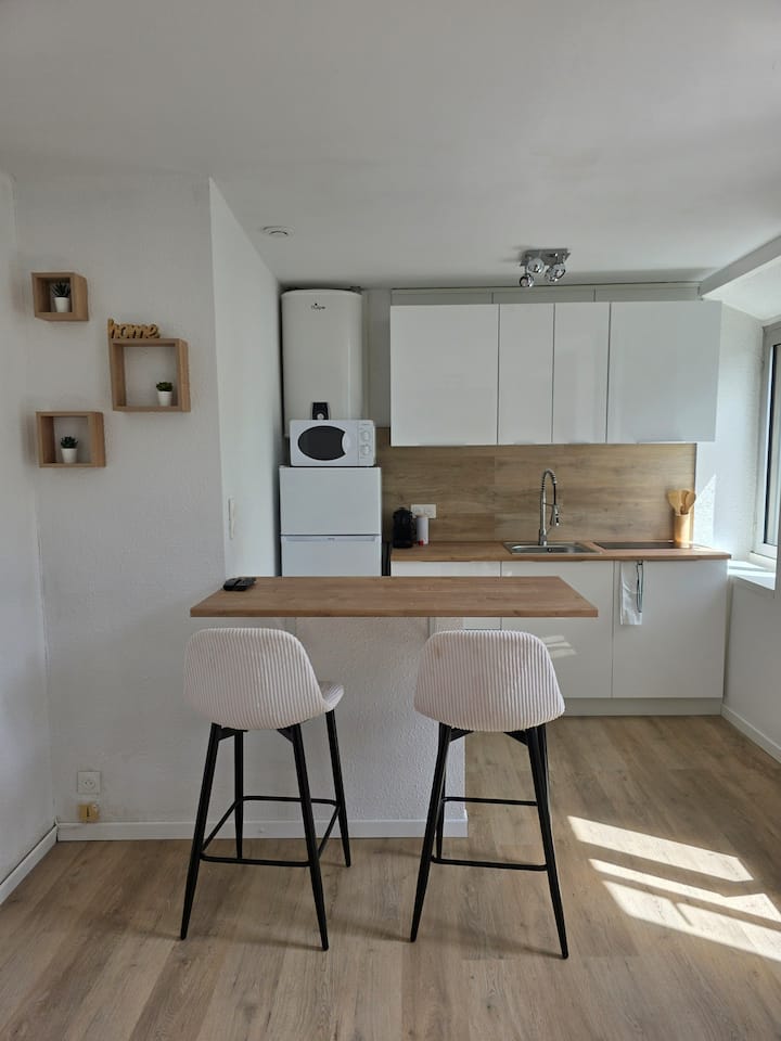 Studio Charmant Hyper Centre - Issel