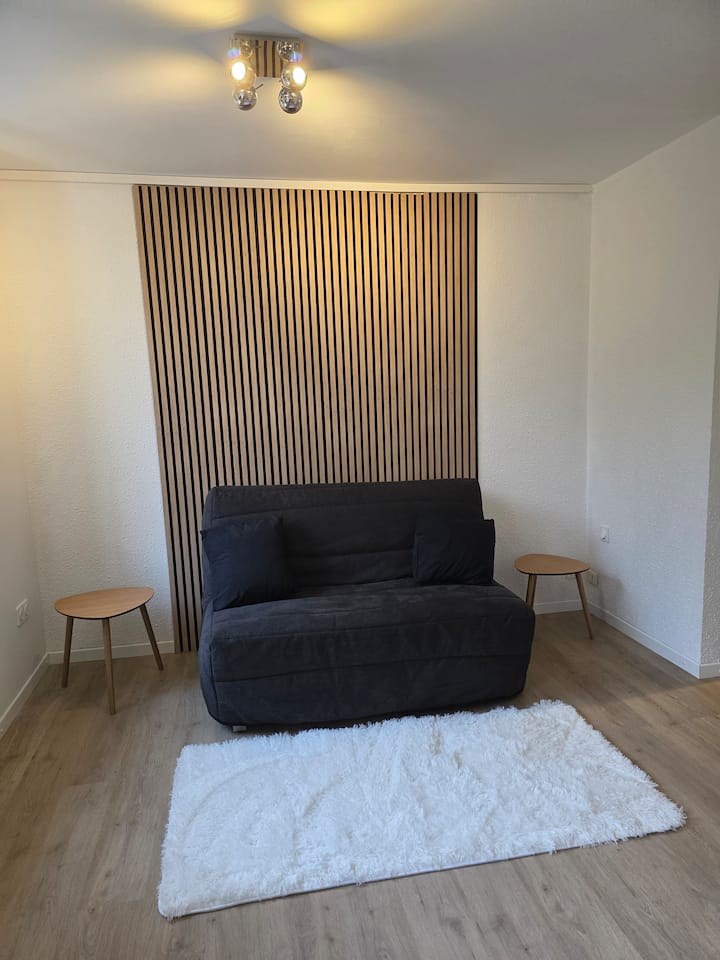 Studio Charmant Hyper Centre - Castelnaudary