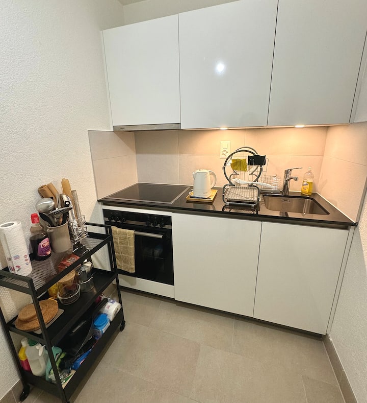 Charmant Appartement Central - Genève