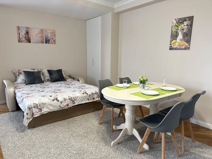 Armeneasca Openspace 2bedroom Downtown - Chișinău
