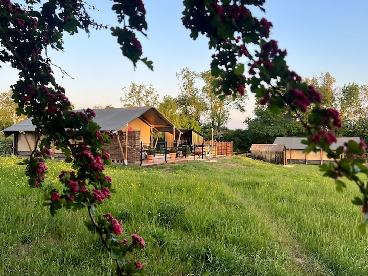 5 Star Luxury Safari Lodge - Cotswolds