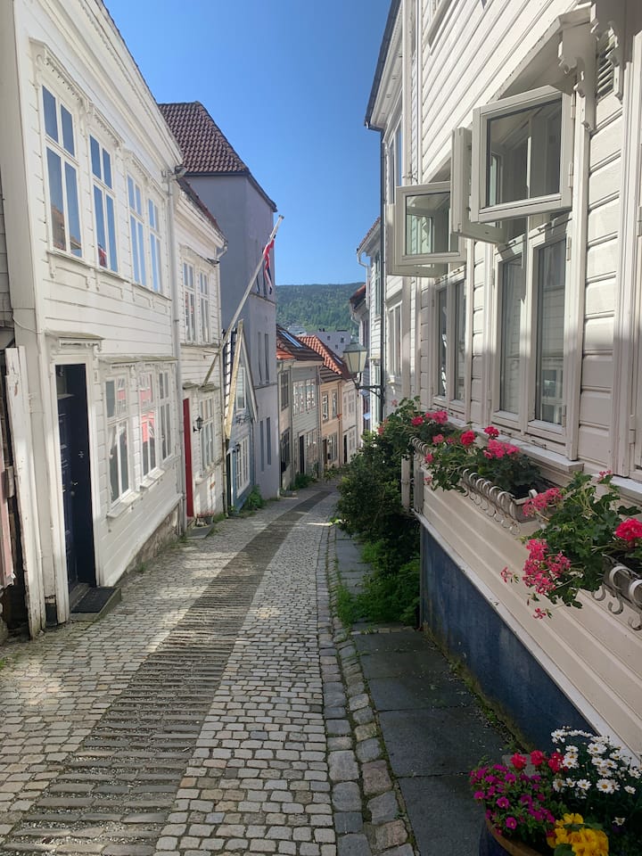 Bergens Koseligste Gate! - Bergen