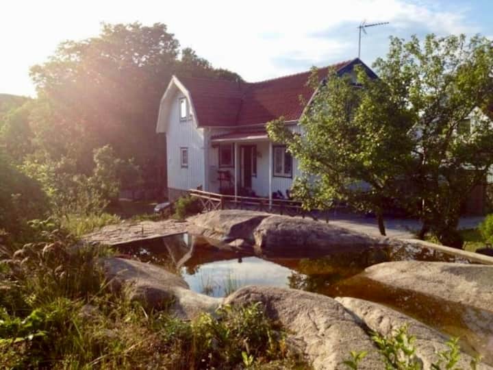 Hus Med Stor Trädgård Kungshamn - Kungshamn