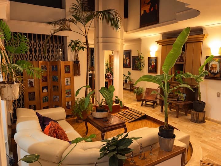 I- Suite Casa Botánica, Galería De Arte Y Libros - Medellín