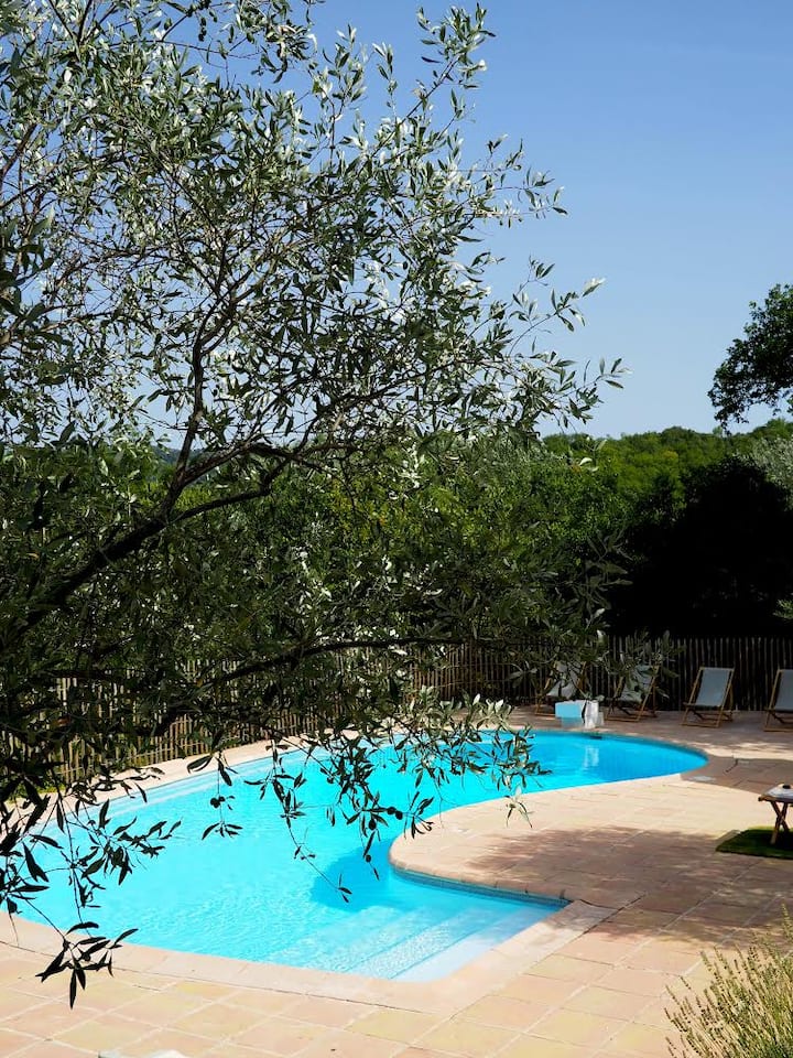 Magnifique Maison Provençale, Domaine Avec Piscine - Saint-Maximin-la-Sainte-Baume