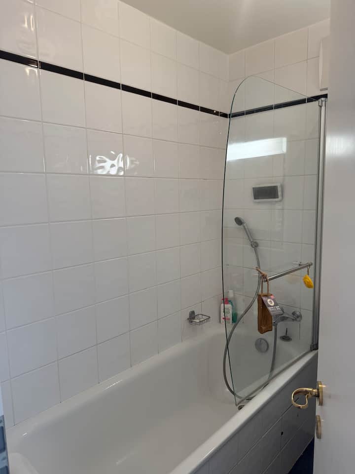 Appartement Spacieux - Carouge