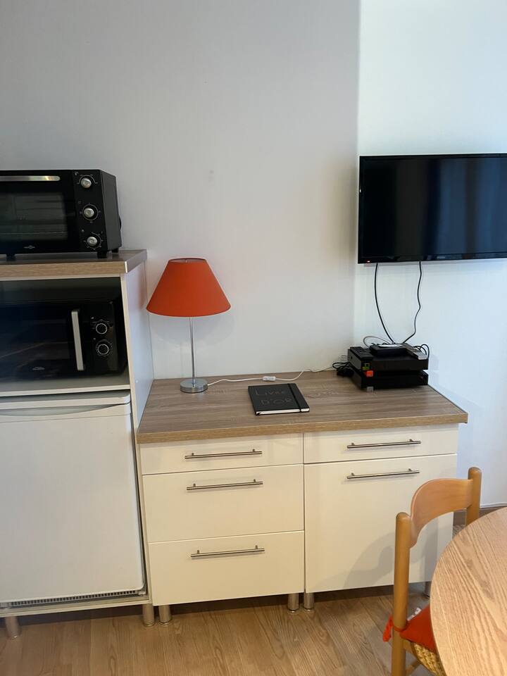 Villa Duchatel - 
Studio Perrier - Chambon-sur-Lac