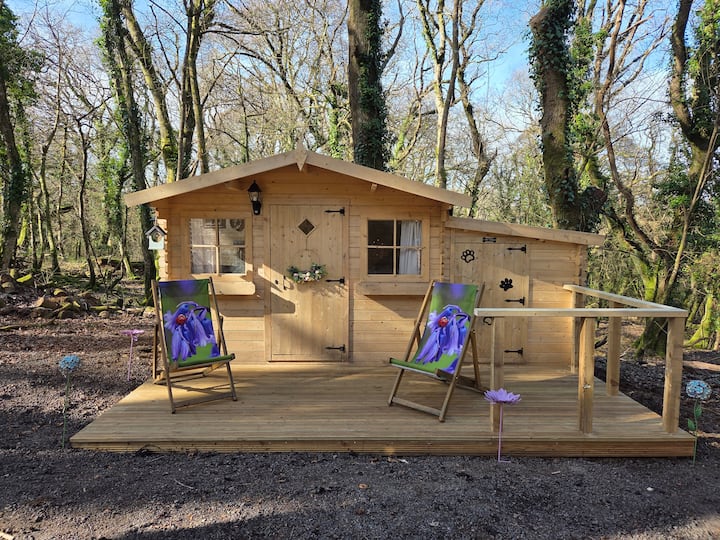 Bluebell Woods Tranquil Escape For 4 & Furryfriend - Bodmin
