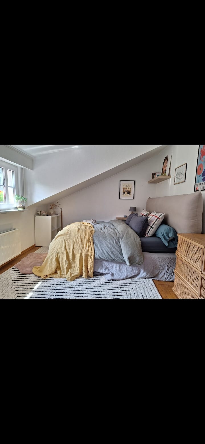 Belle Chambre Chaleureuse - 盧森堡