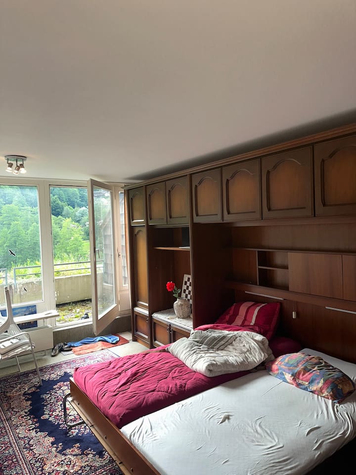 Ferienwohnung In Bad Wildbad - Bad Wildbad