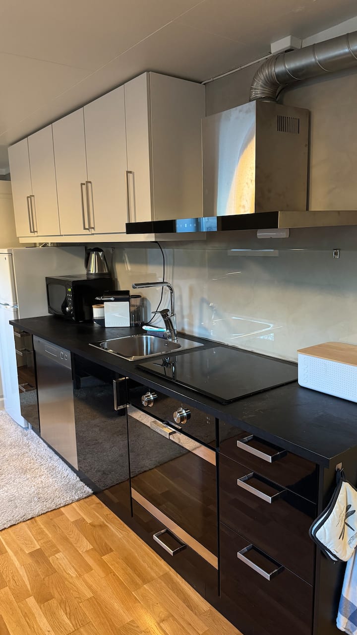 Koselig Sentral Leilighet - Trondheim