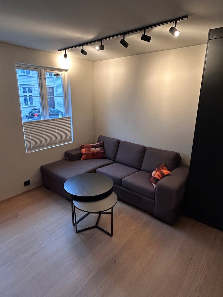 Sentral Leilighet I Kristiansand - Kristiansand