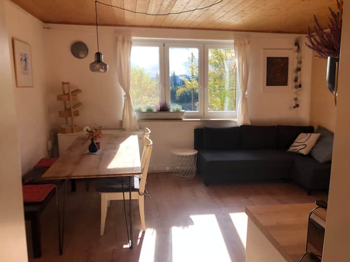 Ferienwohnung - Hohenschwangau