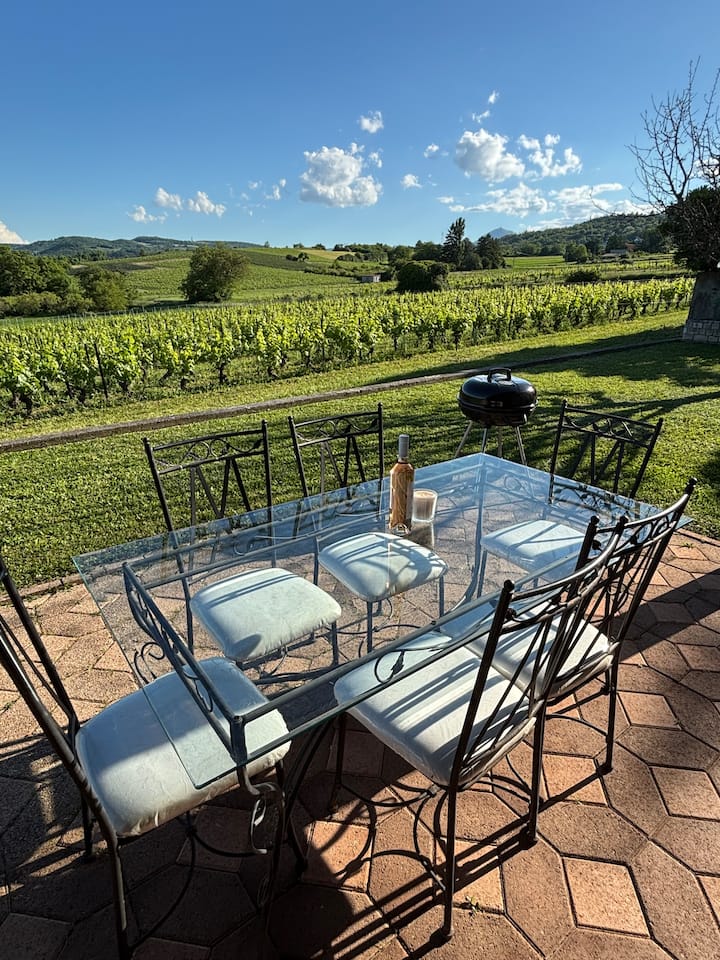 Maison Vue Vignes Et Puy-de-dôme - Clermont-Ferrand