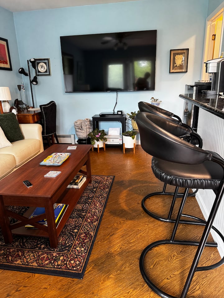 Cozy One Bedroom Apartment. - Northport, NY