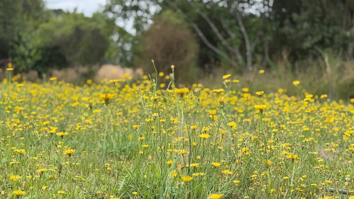 Scenic Farm Sleep-out With Ensuite In City Fringe - Masterton